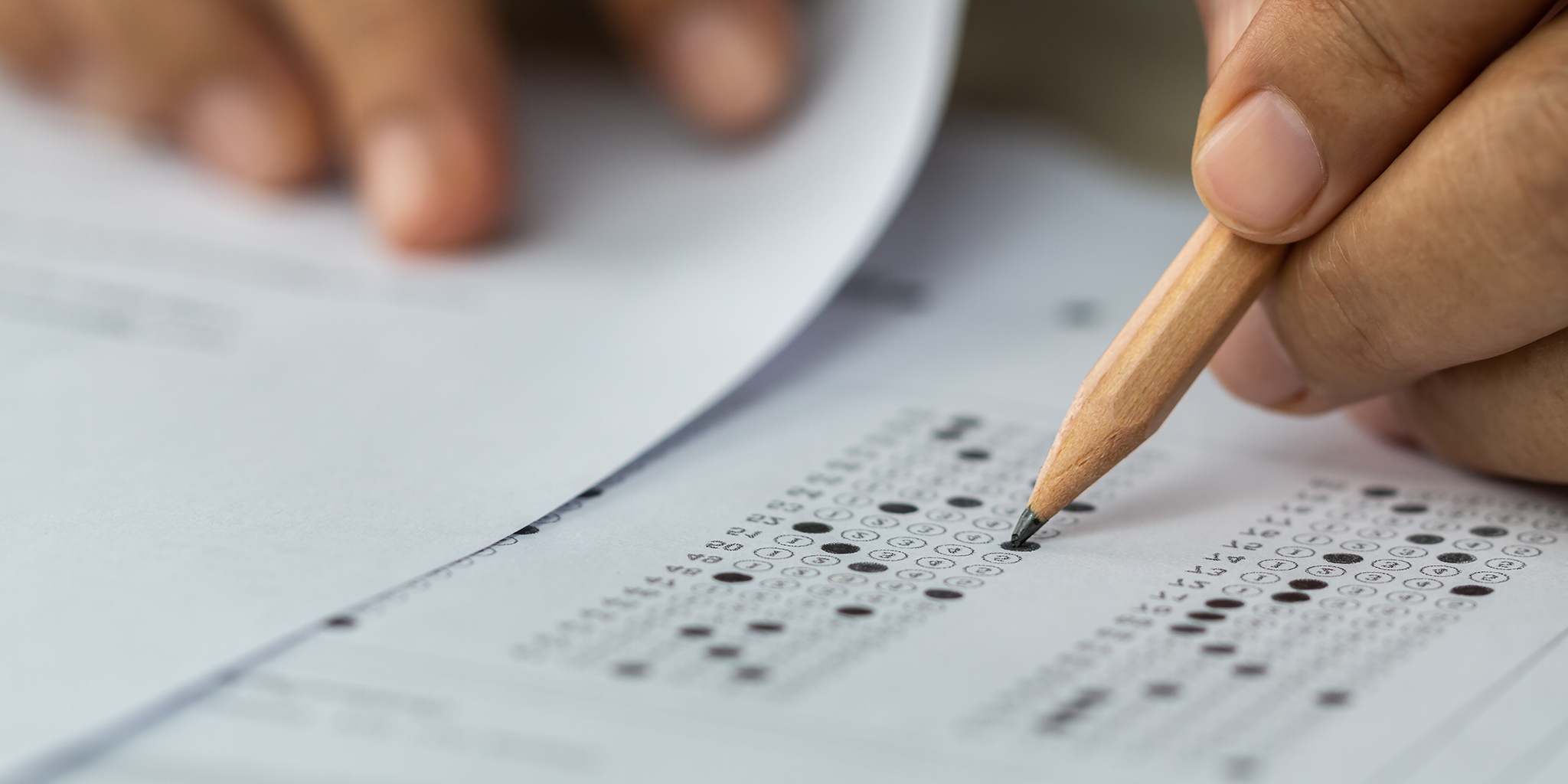 CILS Certificate - University for Foreigners Siena | ESL