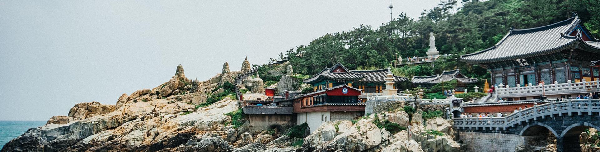 Summer camp in Korea | ESL